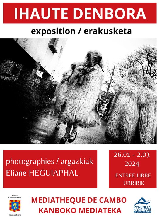 Ihaute Denbora — Instituto cultural vasco