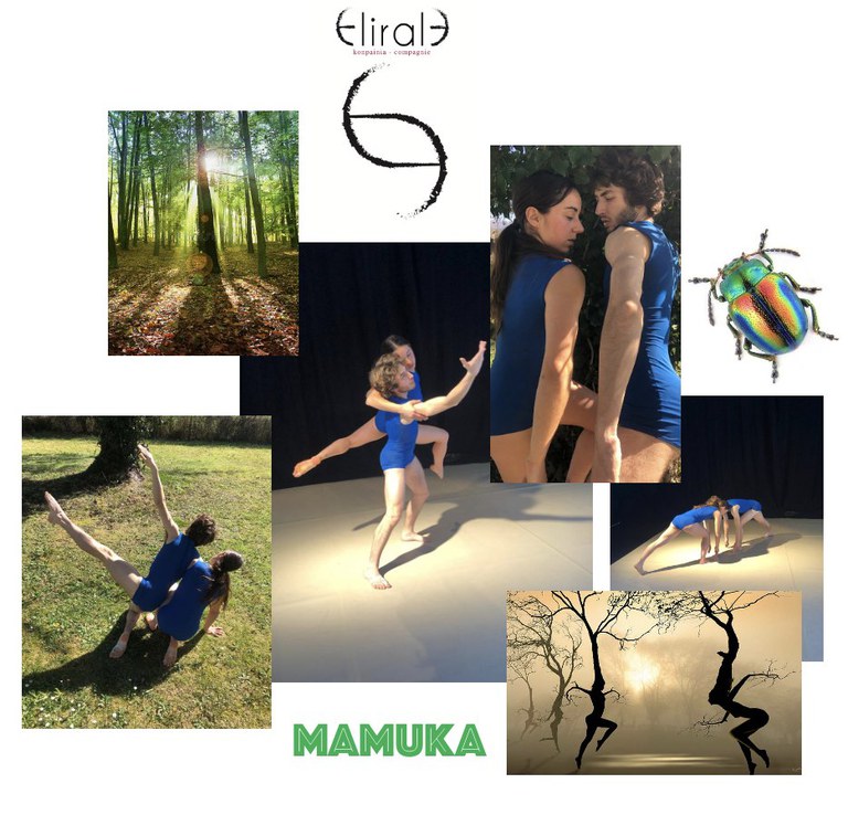 Mamuka — Instituto cultural vasco