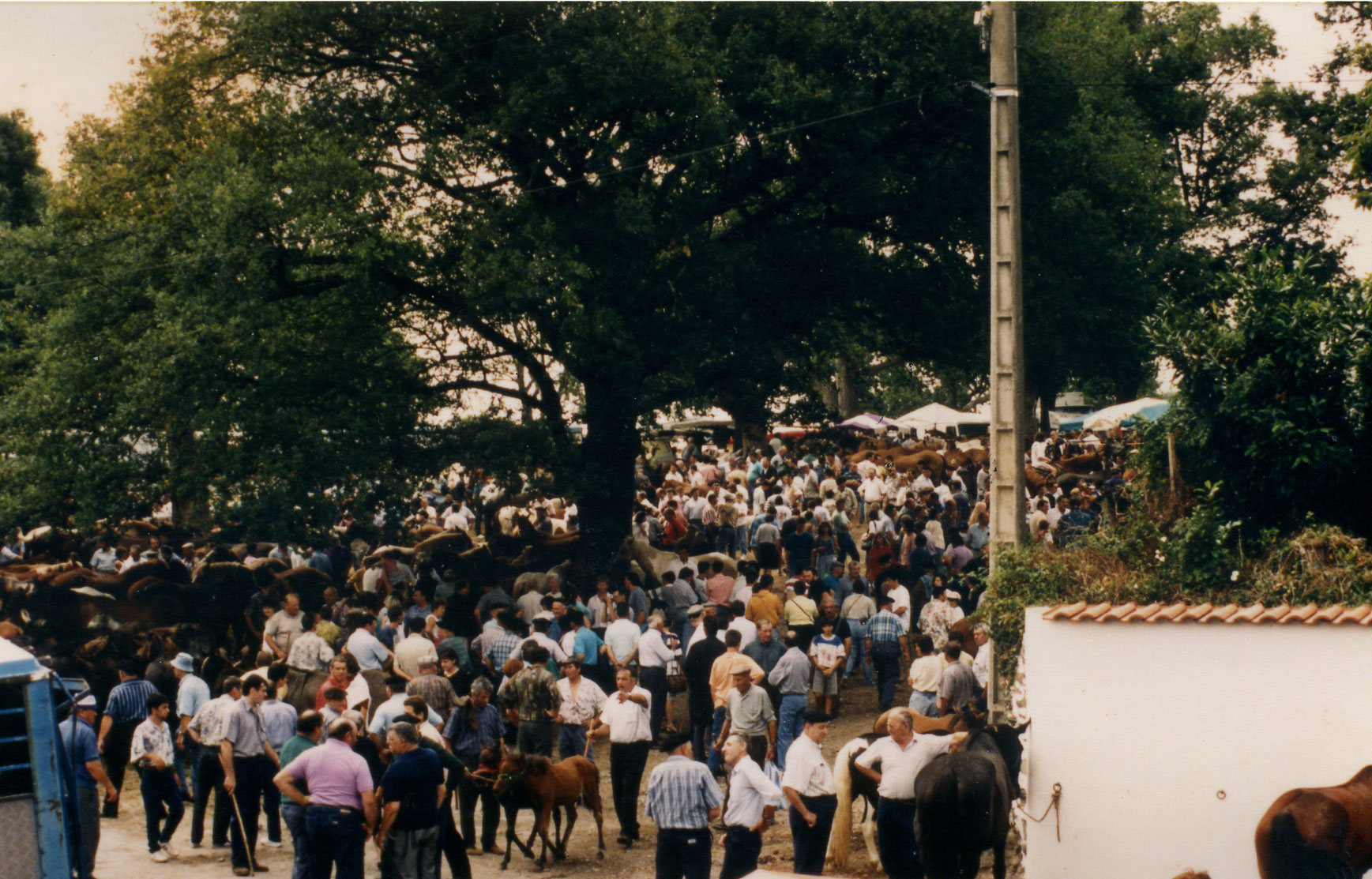 Foire de Garris — Institut culturel basque