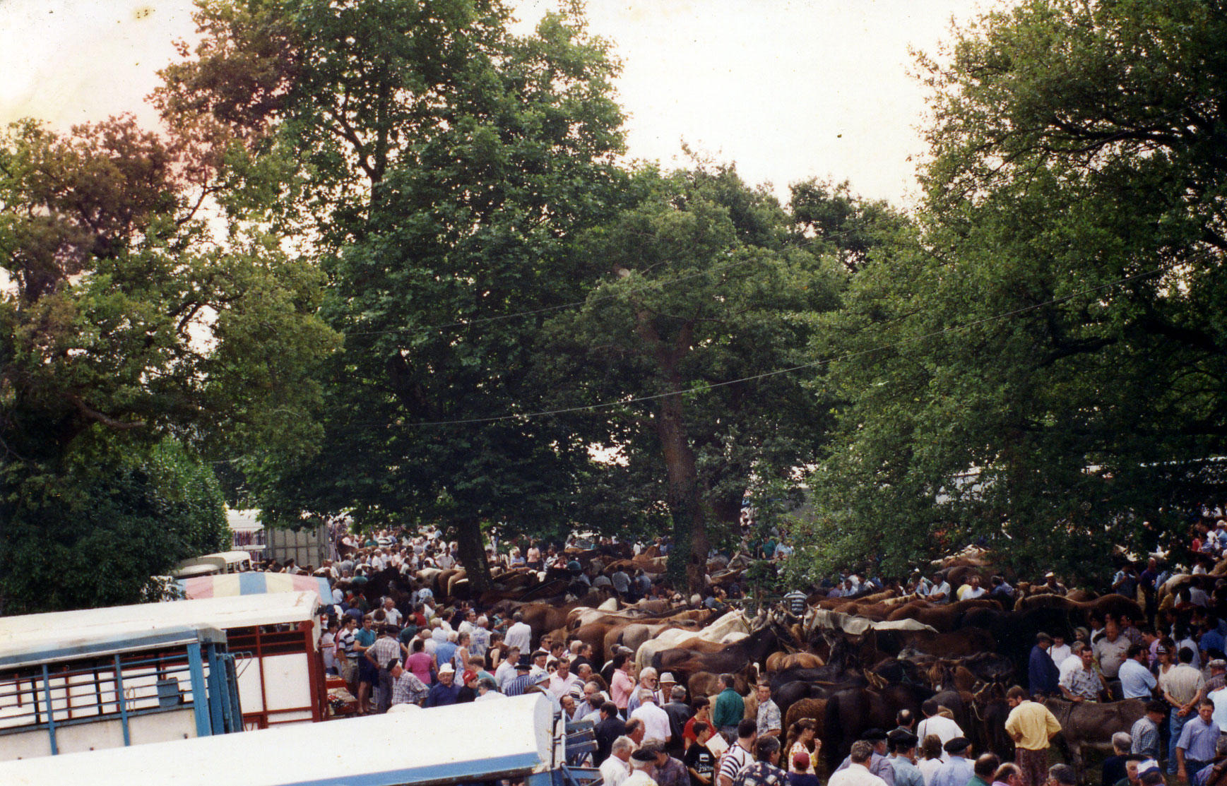 Foire de Garris — Institut culturel basque