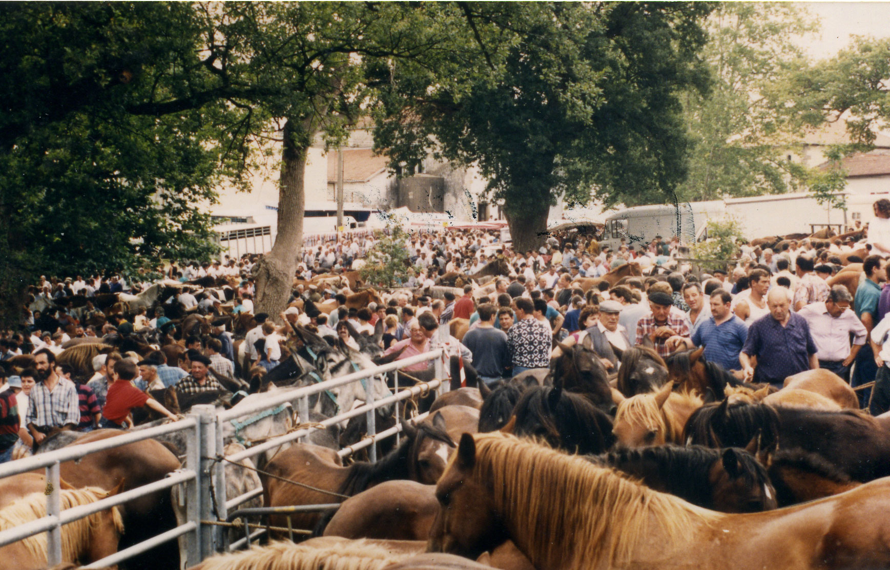 Foire de Garris — Institut culturel basque